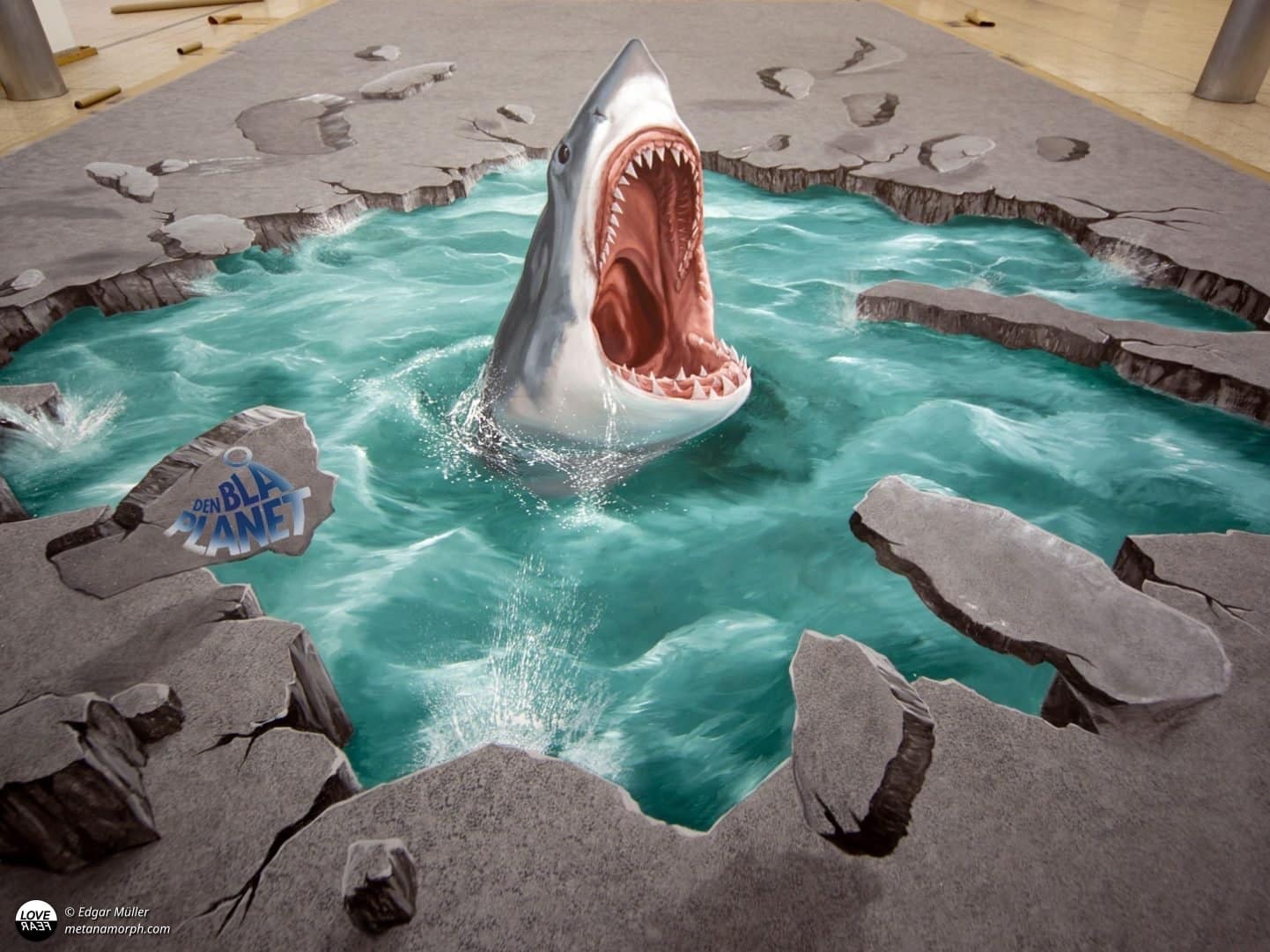 Der weiße Hai in 3D